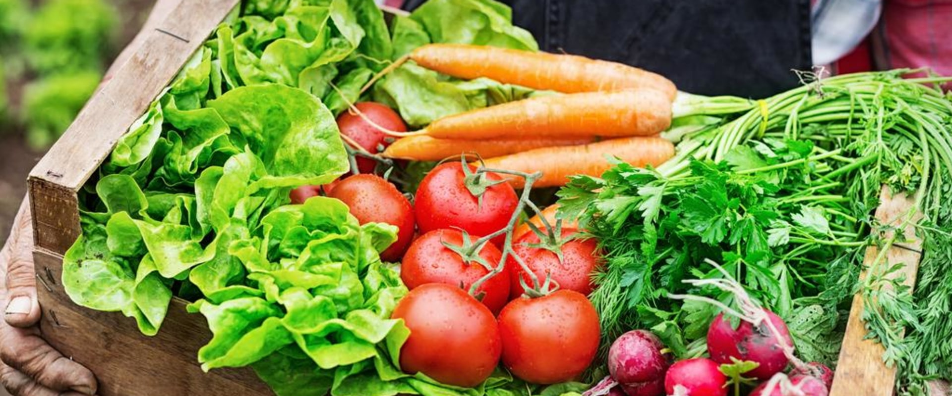10 Tips for Growing Organic Produce in Western Sydney