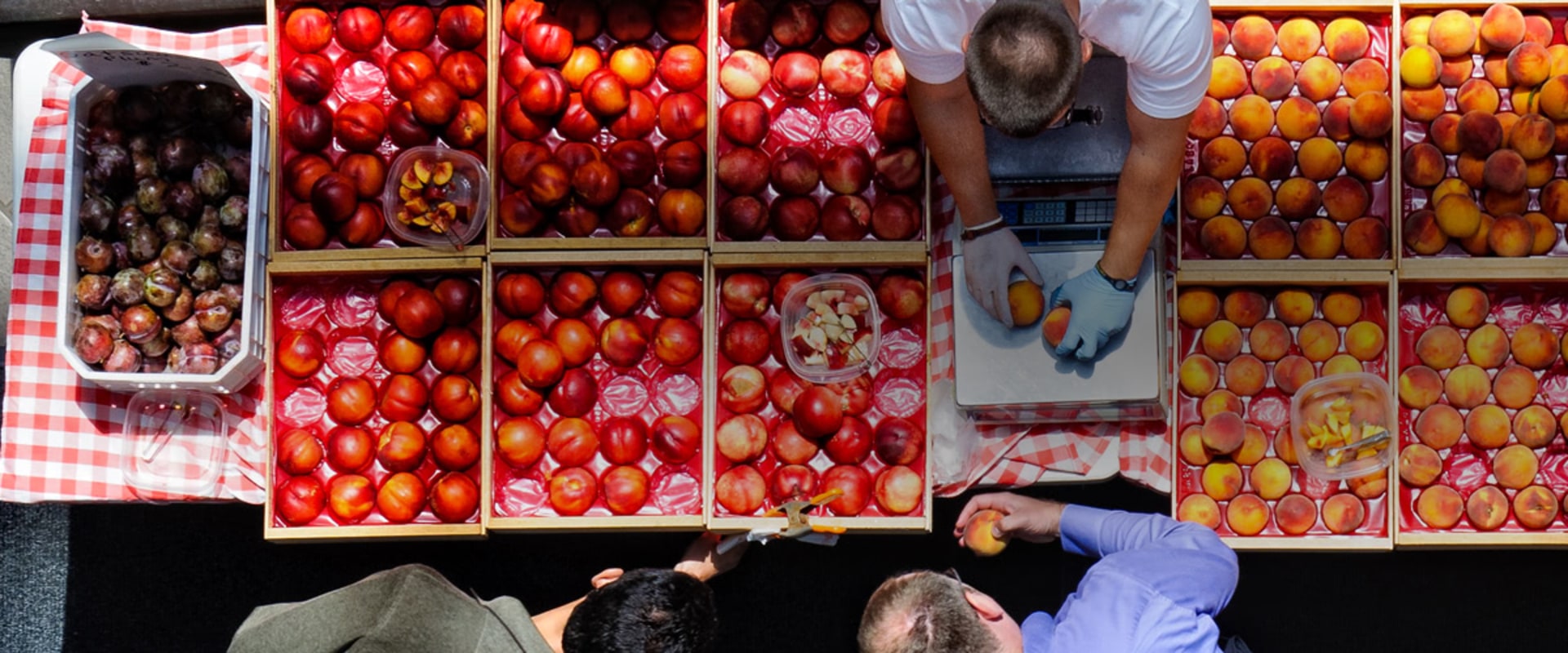 A Comprehensive Look at the Best Farmers Markets in Western Sydney